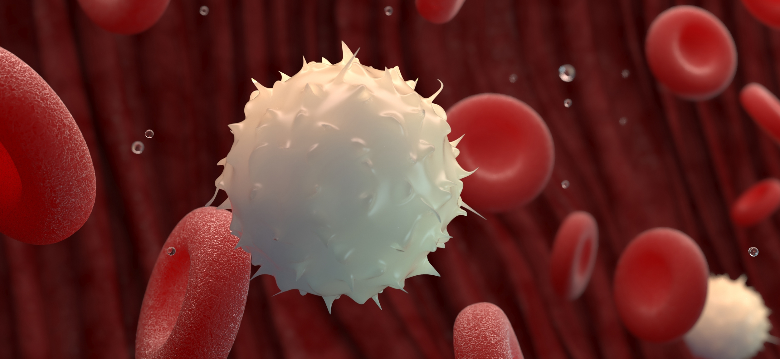Redox regulation of the cytokine MIF during inflammation - Canterbury ...